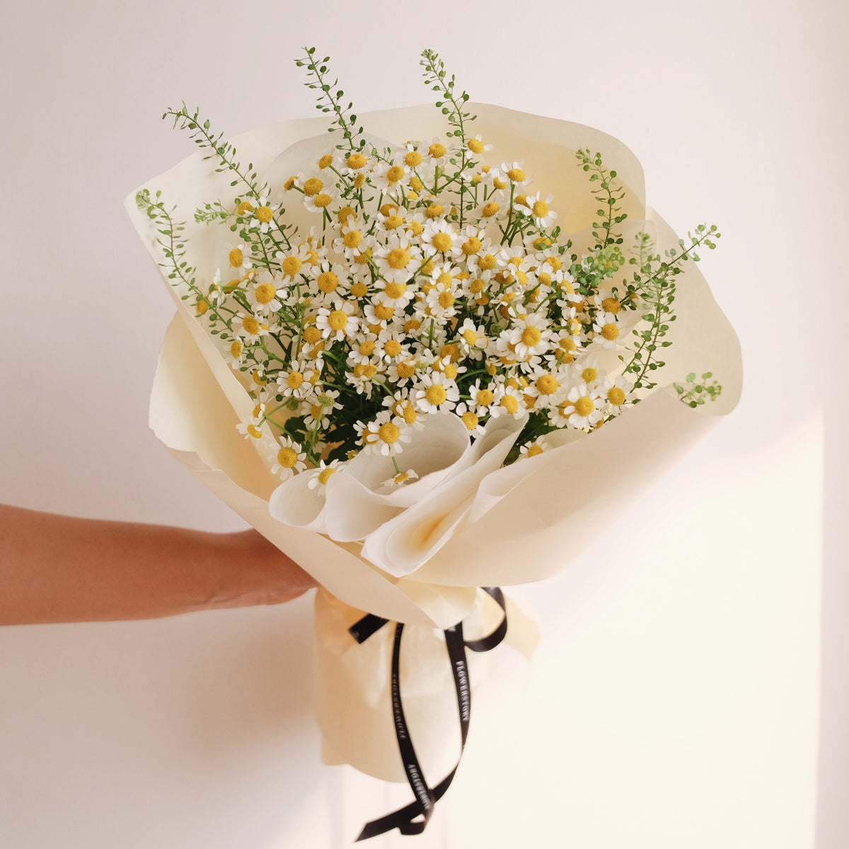 Matrecaria – Flowerstory